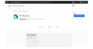 Bit Browser Review: Is it the Right Browser for You?